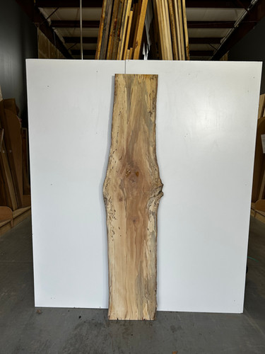 Spalted Sycamore Slab | OSL
