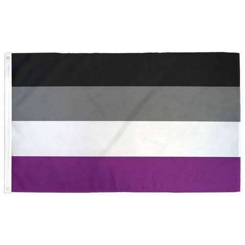 Ace Pride Flag | The Shed