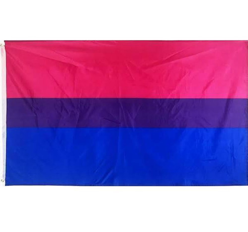 Bi Pride Flag | The Shed