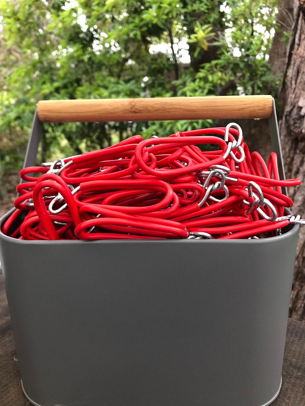 Eco-friendly pegs, 100% Australian handmade, lifelong | Worlds Best Pegs