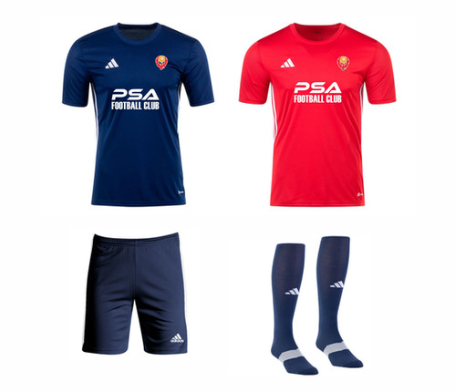 PSA Game Kit | Ekipstar