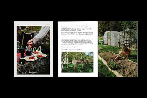 wildish food guide | Wildish Club