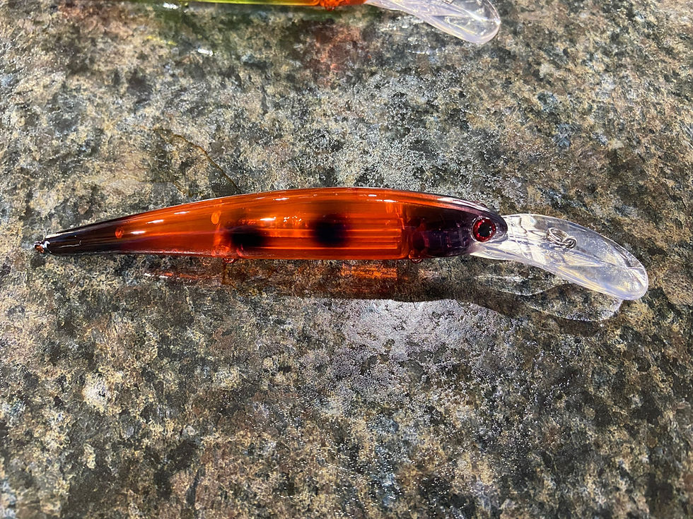 Custom Painted Bandits | mikesrigs