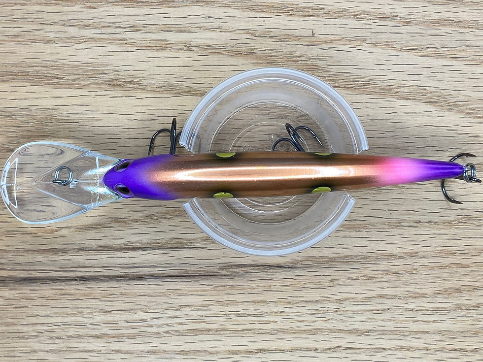 Custom Painted Bandits | mikesrigs