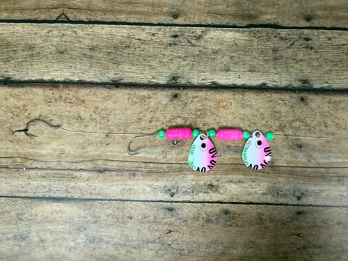 UV Purple Watermelon | mikesrigs