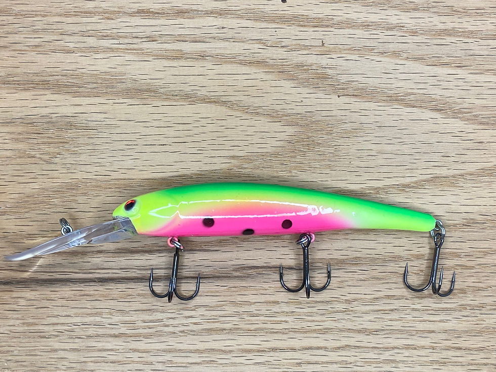 Custom Painted Bandits | mikesrigs