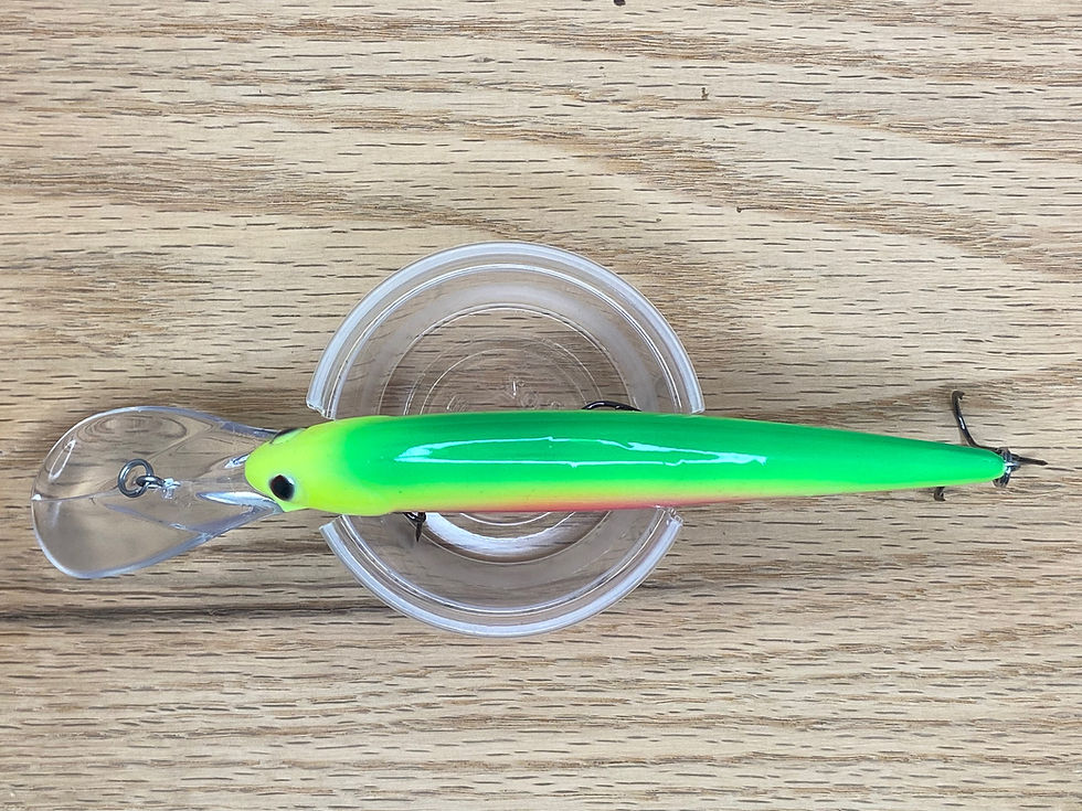 Custom Painted Bandits | mikesrigs