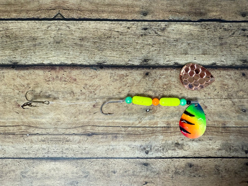 #4 Custom Colorado w/ Trebble, Toucan Sam | mikesrigs