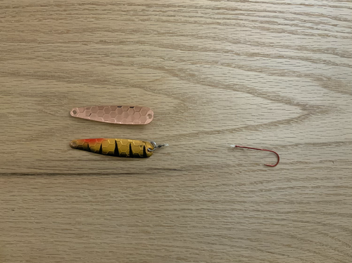 Gobby w / Slow Death Hook | mikesrigs