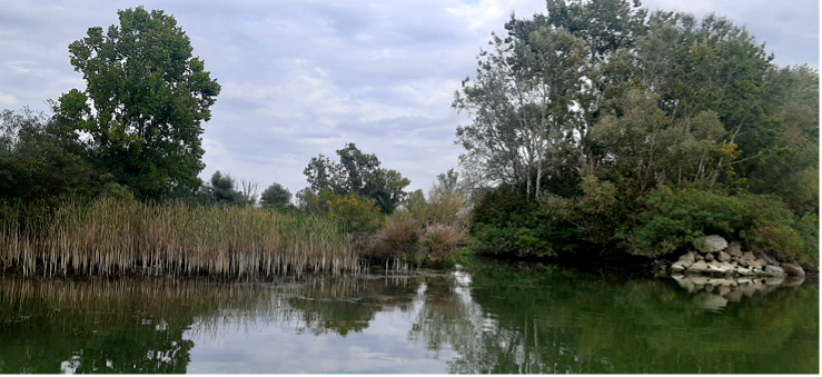 The importance of fish in monitoring biodiversity in river ecosystems