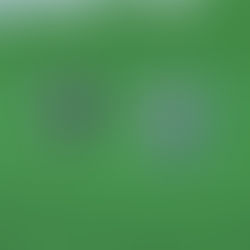 Essentials | TPT2 Workshop