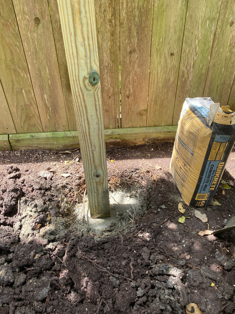 DIY Backyard String Lights