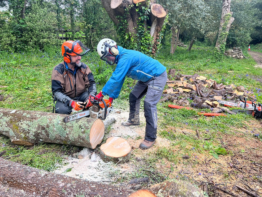 Book a tree felling course | LBS Training & Assessing Ltd