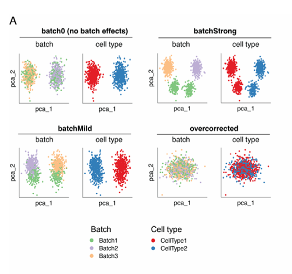 4 Handy Tips For Correcting Batch Effects | ScRNA-seq Analysis 101