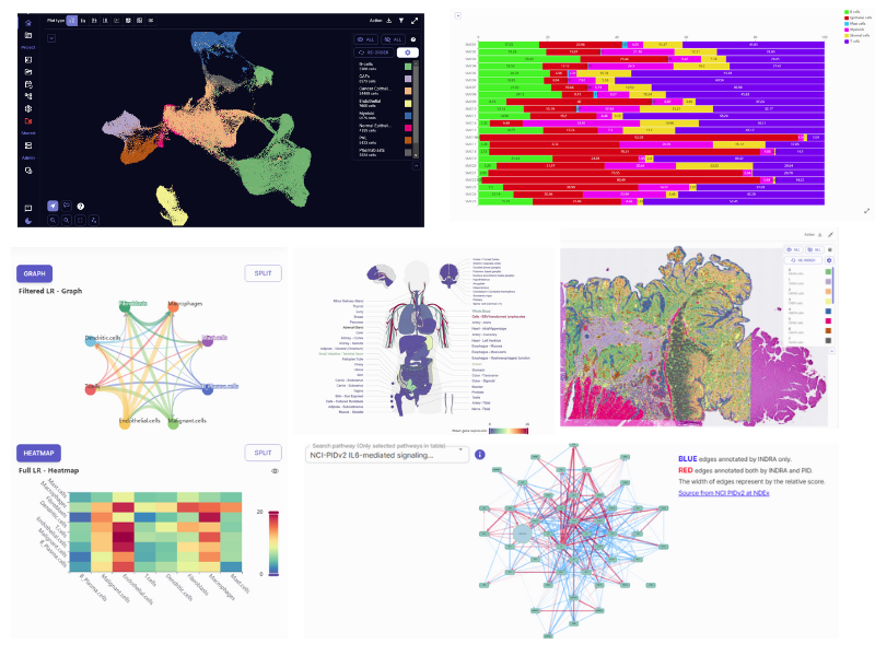 Pythiomics - A Meticulously Curated Multi-omics Database with Interactive Access