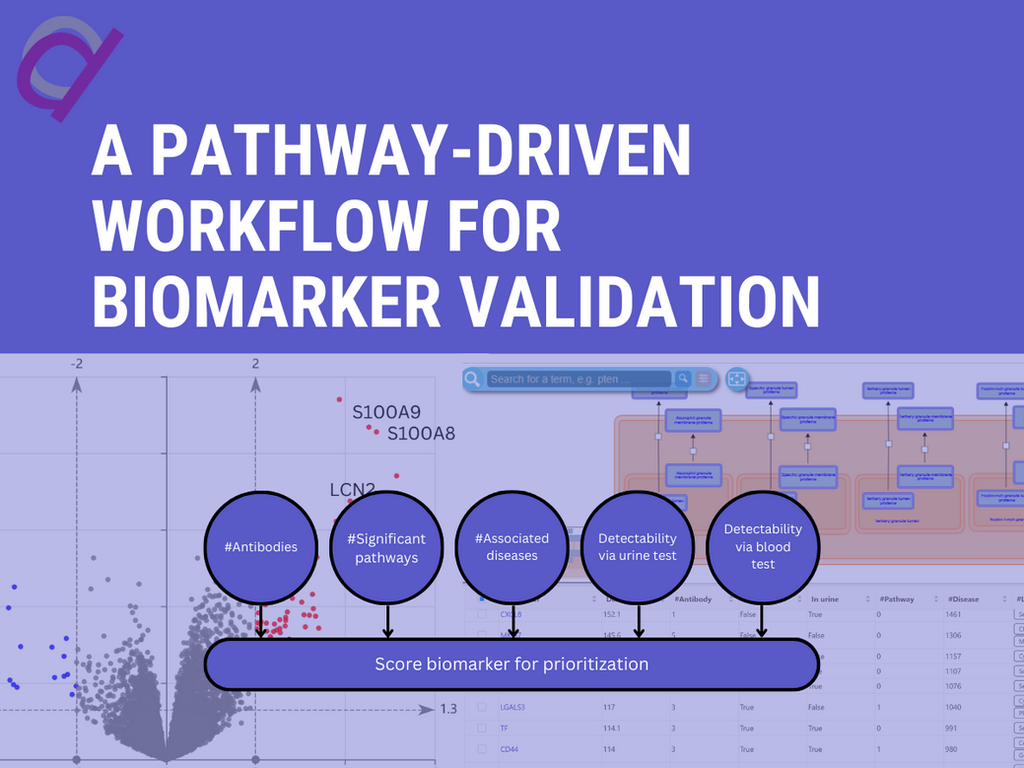 Blog and Publications | Pythia