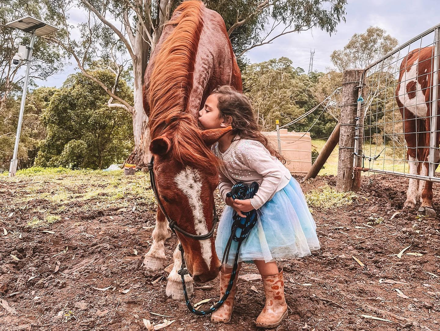 Come and Try Day | The Brumby Project