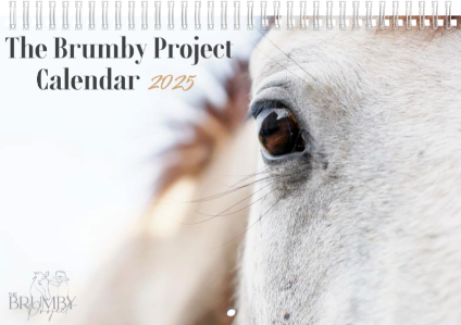2025 Brumby Calendar The Brumby Project