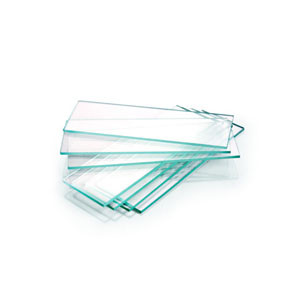 Glass Slides