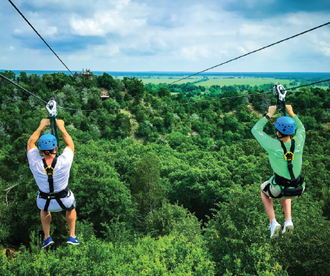 Zip Lost Pines | Austin Zip Lining | Best Zip Line in Texas