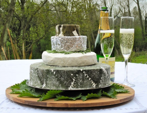 Celebratory Cheese Cakes | Ammonite Fine Foods