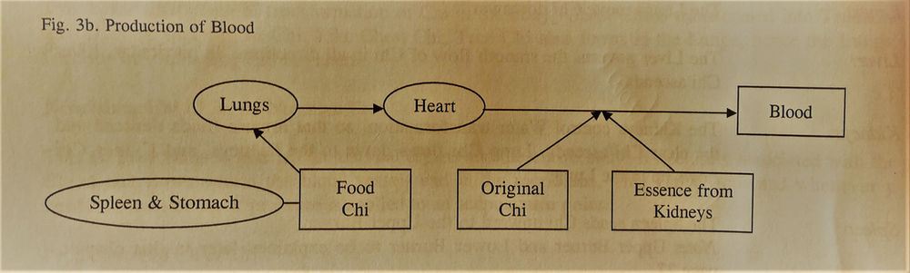 Let's talk about Woman's Health and Blood Deficiency....