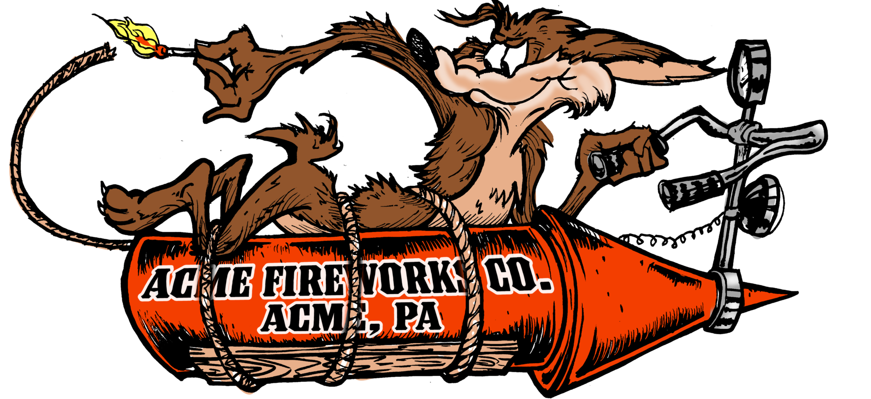 Acme Fireworks : Professional Fireworks Displays