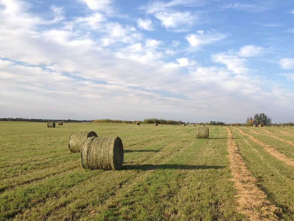 Herbert Farm Straw & Hay Sales