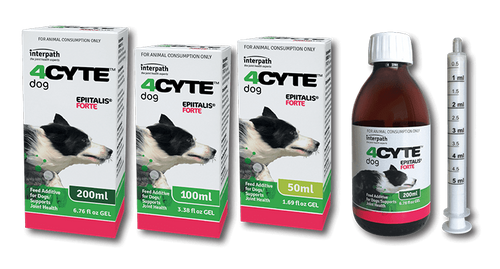4CYTE Canine FORTE (50ml, 100ml & 200ml) | Emergency Vet OnlineInStock
