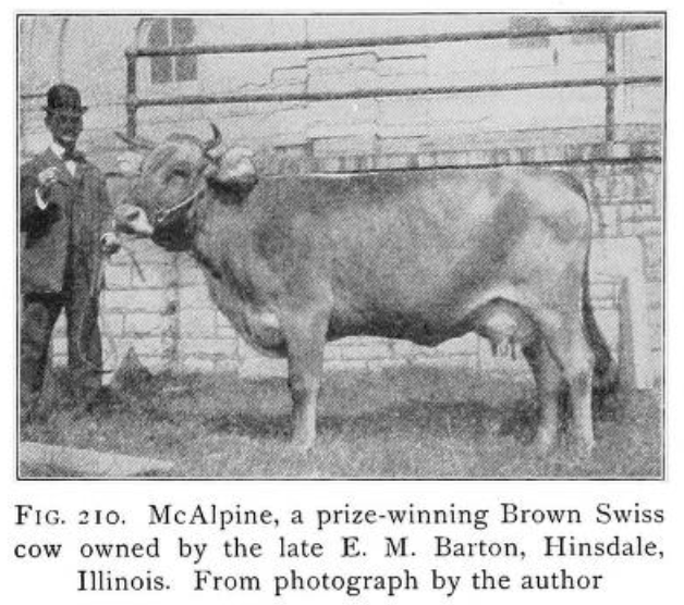 The Prosperous and “(Un)Fortunate” Life of Enos Barton: Founder of ...