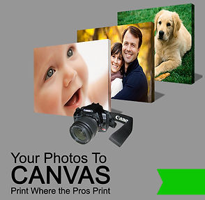 Vexillina | Printing | Malta