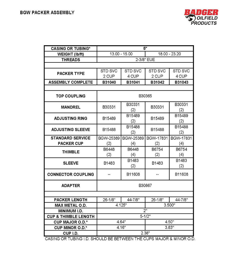 BGW PACKER ASSEMBLY | Badger Oil Products