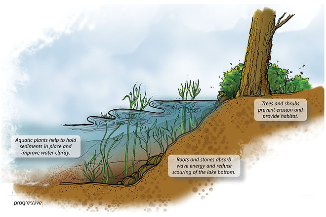 WATERSHED | Van Norman Lake