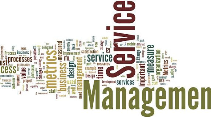 Business Service Management | Bluestone Service Group