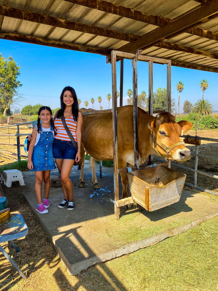 Real Working Farm: Fun and Educational Visit For The Whole Family
