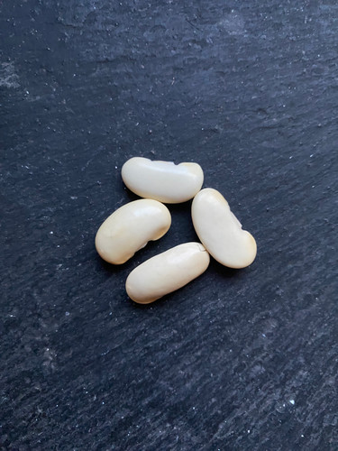 Runner Bean 'White Lady' | ThePackingShedTamar