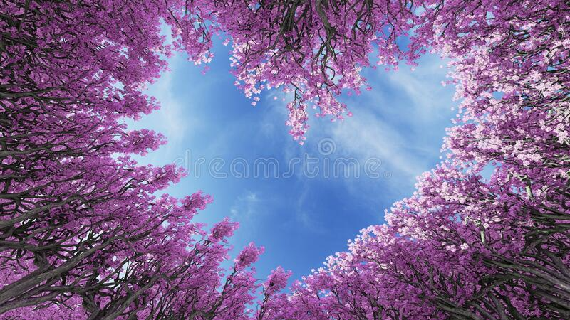 Home | Jacaranda Library