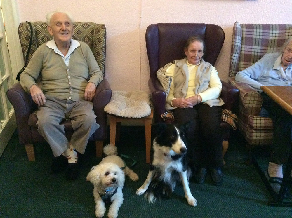 Visit from Marley & Dusty!