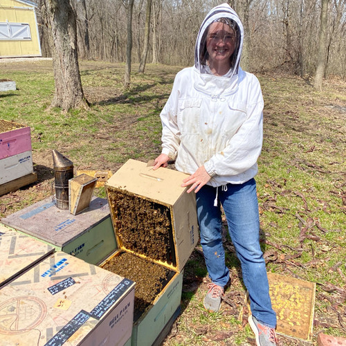 Beekeeping Fundamentals - Recorded Class Series | Bell Farm