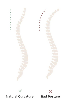 Myofascial Biomechanics & Posturology | Dr David Pham - Integrative ...