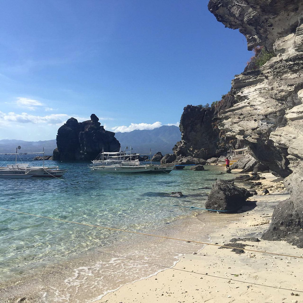 Apo Island: Swimming with Sea Turtles