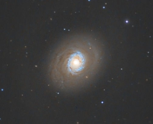 M94 - The Cat's Eye Galaxy from the city without filters