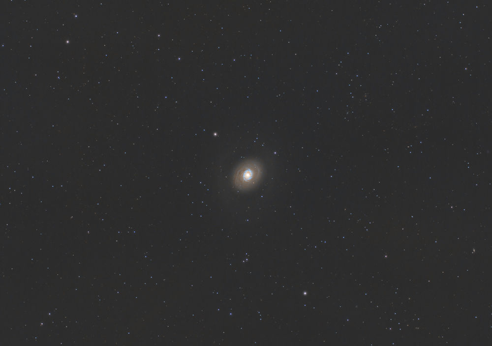 M94 - The Cat's Eye Galaxy from the city without filters