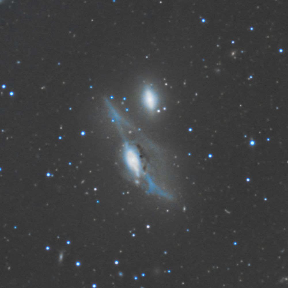 Markarian's Chain - A Handful of galaxies photographed in virgo