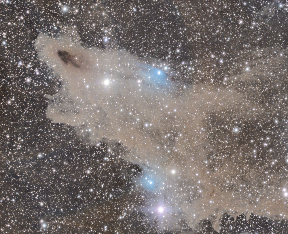 LDN 1235 - The Shark Nebula - The most difficult object imaged so far