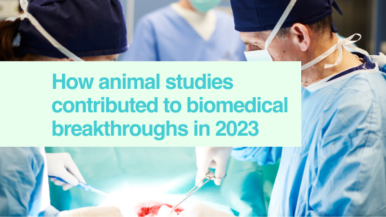 Feature: How animal studies contributed to biomedical breakthroughs in 2023
