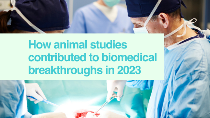 Feature: How animal studies contributed to biomedical breakthroughs in 2023