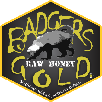 HOME | Badgers Gold