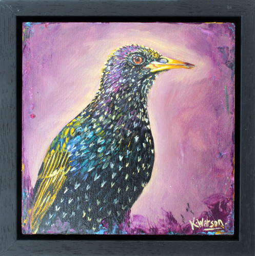 Sterling Starling | Kerry Watson Art