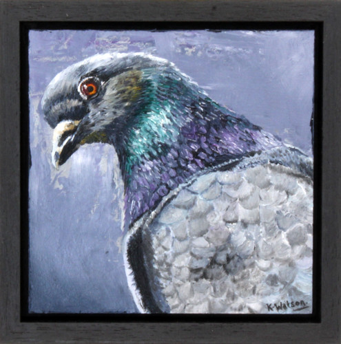 Pesky Pigeon | Kerry Watson Art